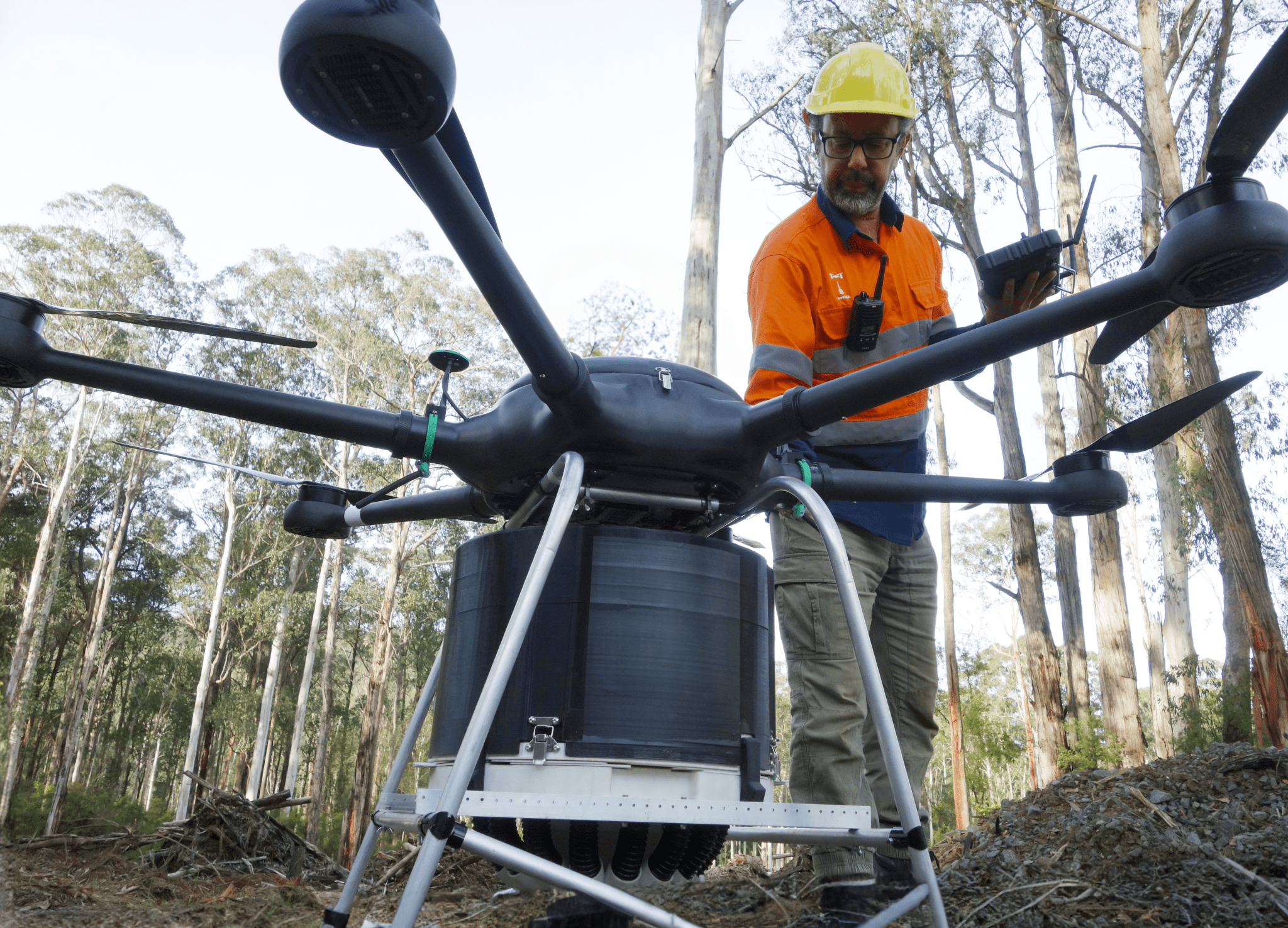 Drones in Forest Restoration: New Research Highlights Benefits - DRONELIFE