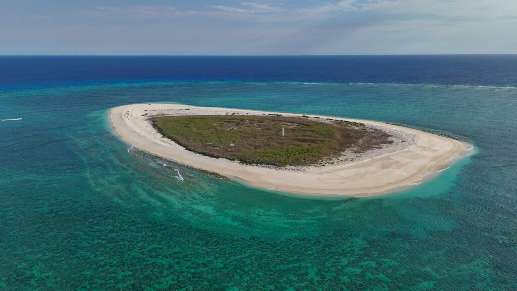 Drone Mouse Eradication Project Tests on Browse Island - DRONELIFE